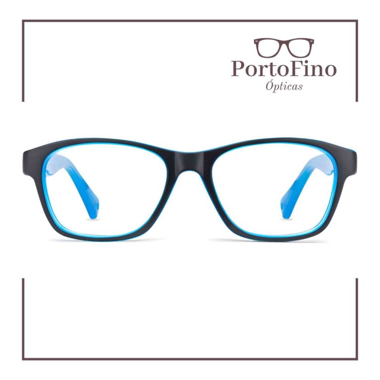 NANO GAIKAI 3.0 – PORTOFINO VISION EXPERT